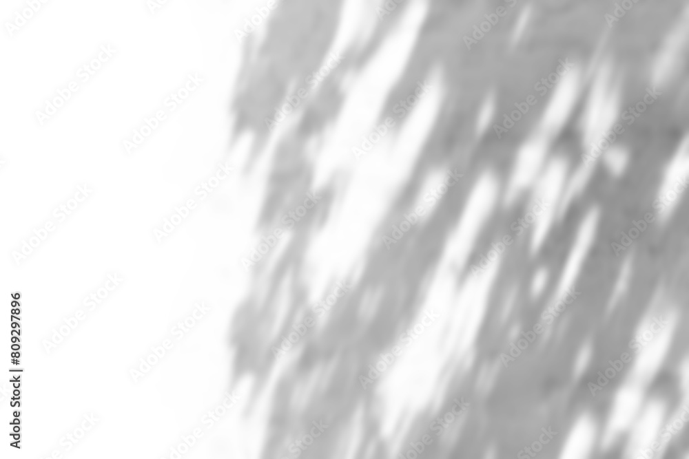 Tree shadow png overlay effect, transparent background Stock Photo ...