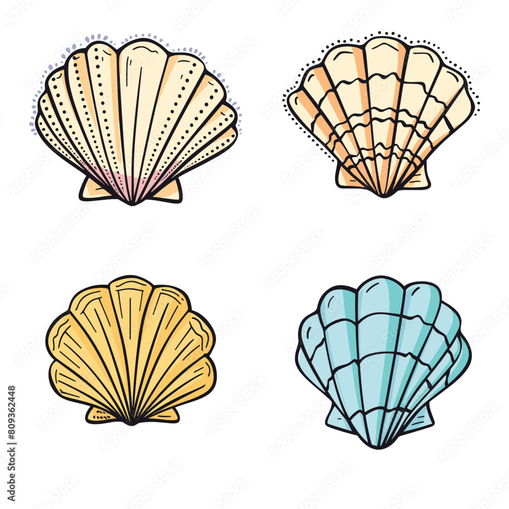 Seashell collection features various colorful scallop shells. Set sea ...