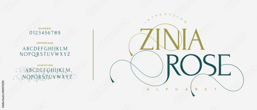 Zinia elegant font alphabet uppercase lowercase and number. Classic ...