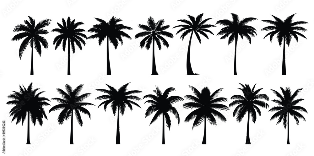 Vetor de Black palm trees set isolated on white background. Palm ...
