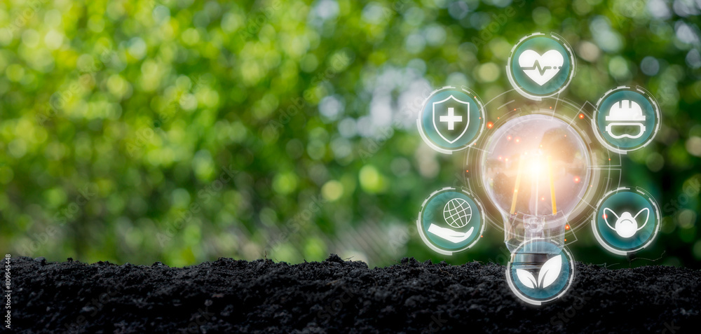 HSE, Health Safety Environment concept, Light bulb on soil with Health ...