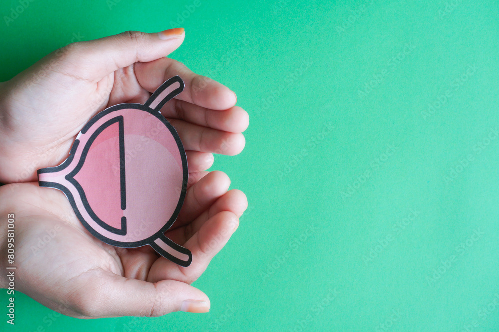 Hand holding bladder and prostate gland made from paper on green ...