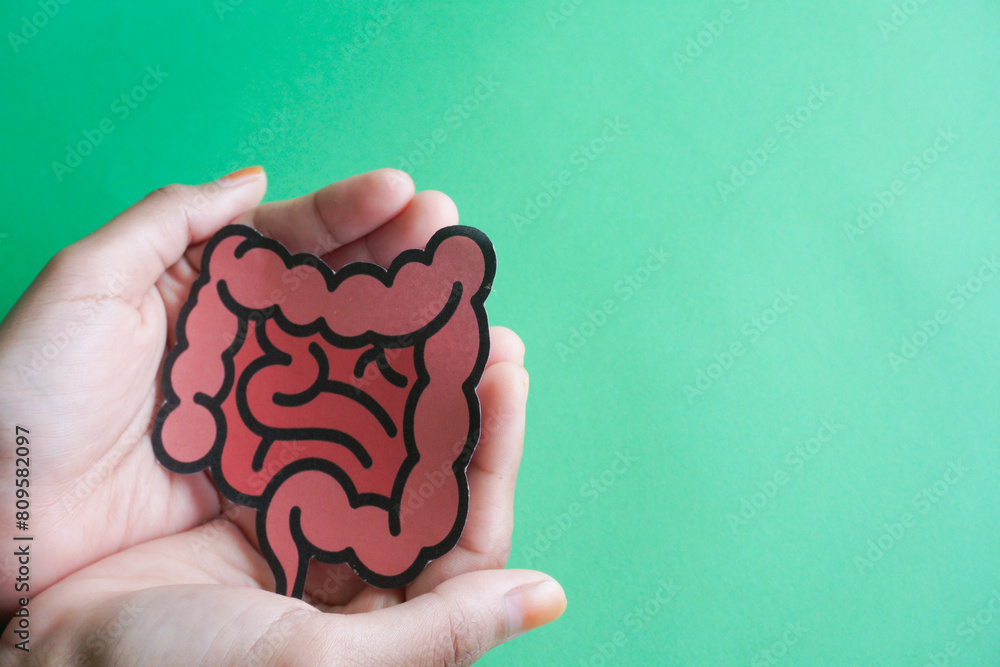 hands holding intestine shape, healthy bowel digestion, leaky gut ...