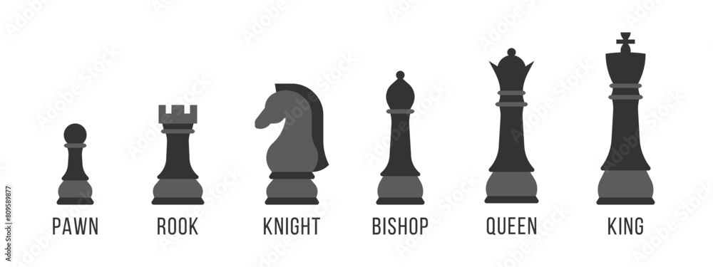 Vector illustration of black chess pieces with their names labeled on a ...