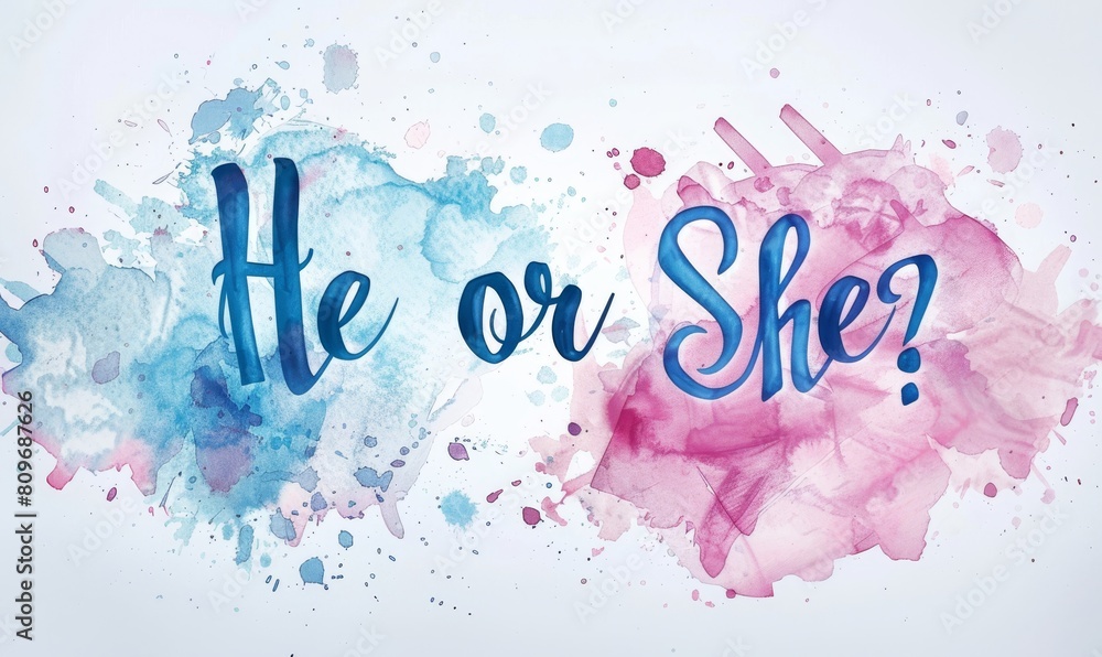 He or She?. Gender reveal illustration. Inspirational modern ...