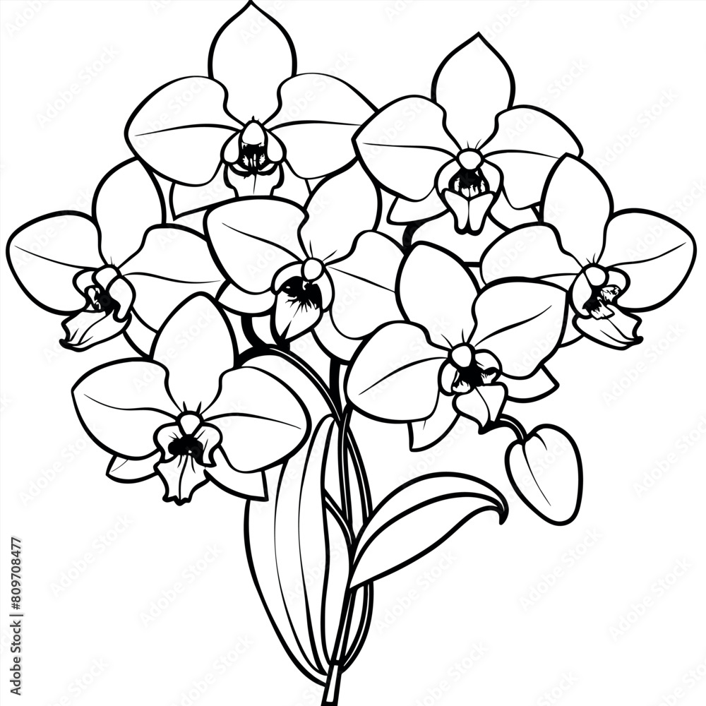 Orchid flower outline illustration coloring book page design, Orchid ...