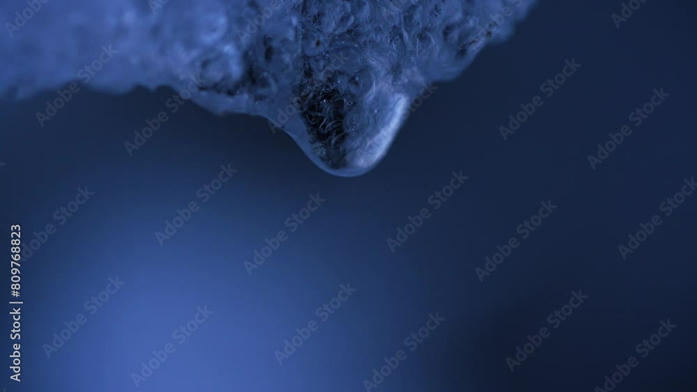 Vidéo Stock Macro shot of water droplets forming at the tip of icy ...
