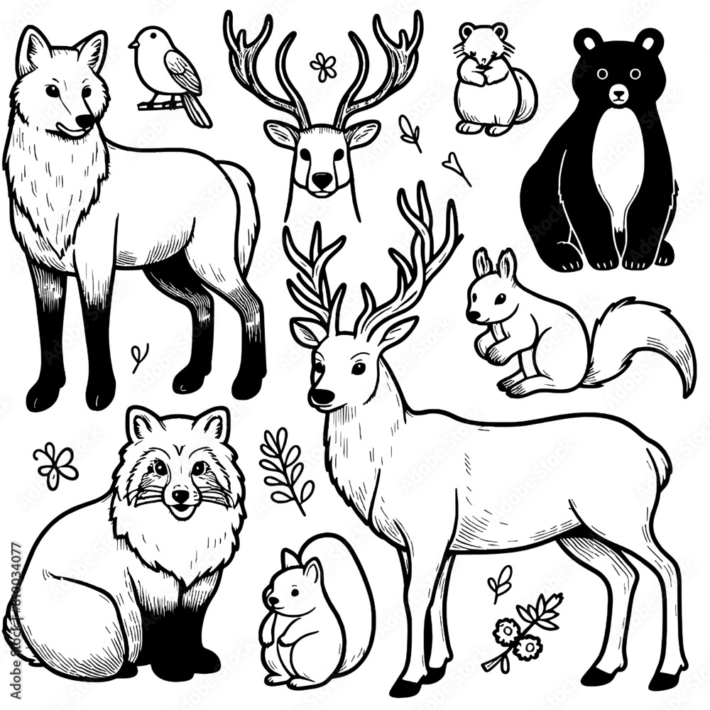Woodland Animal Outlines, Coloring SVG Clipart, Kid Party Coloring ...