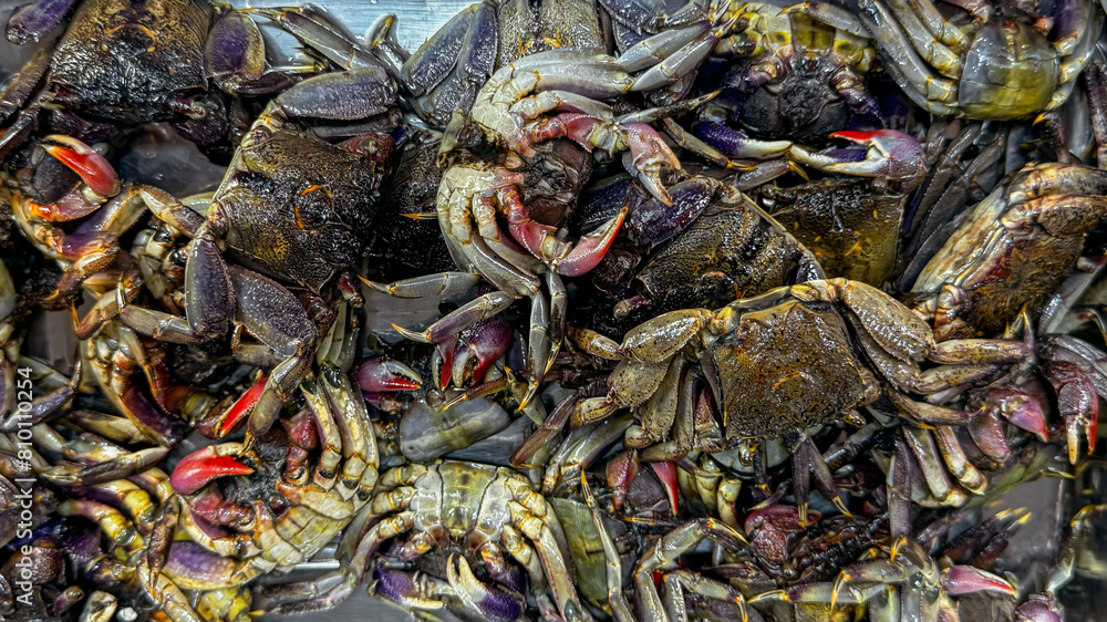 Pile of freshly caught crabs showcases abundance of seafood farming ...