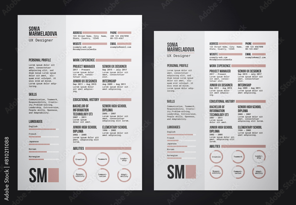 Modern Graphic Resume Layout Stock Template | Adobe Stock