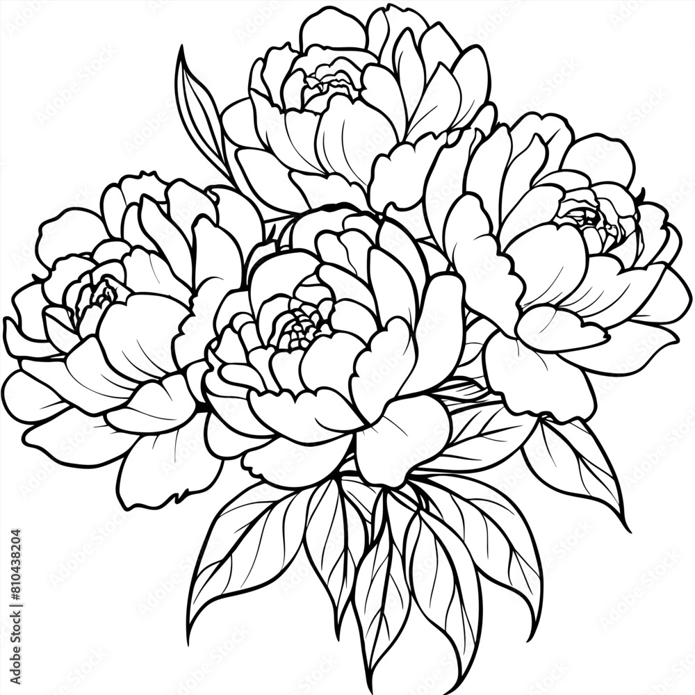 Peony Flower outline illustration coloring book page design, Peony ...