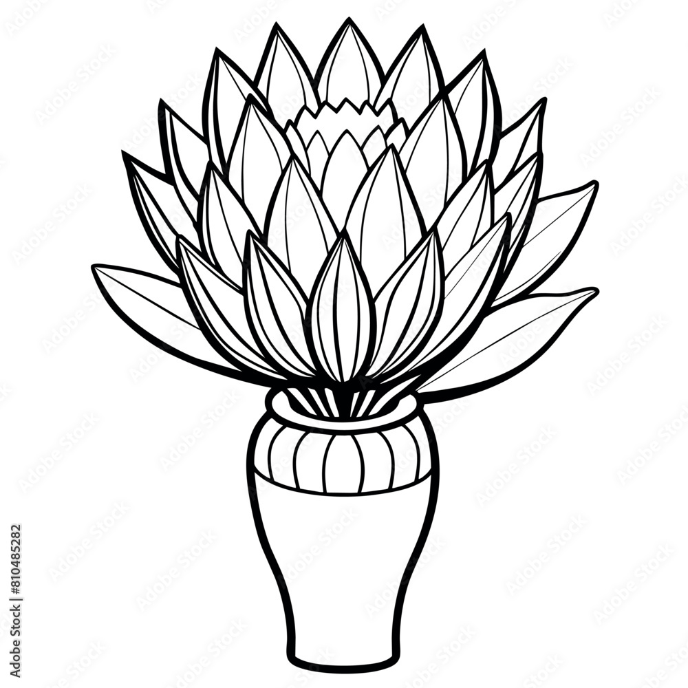 Protea flower outline illustration coloring book page design, Protea ...