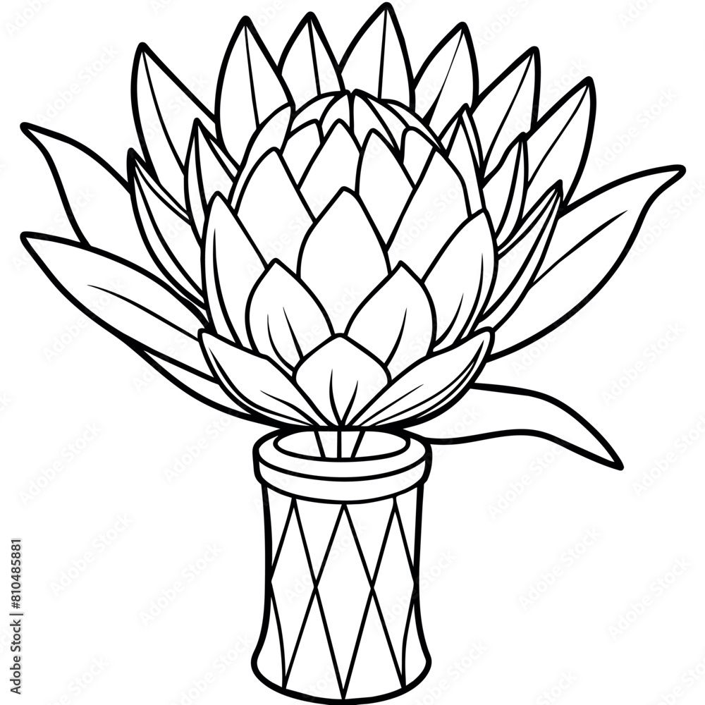 Protea flower outline illustration coloring book page design, Protea ...