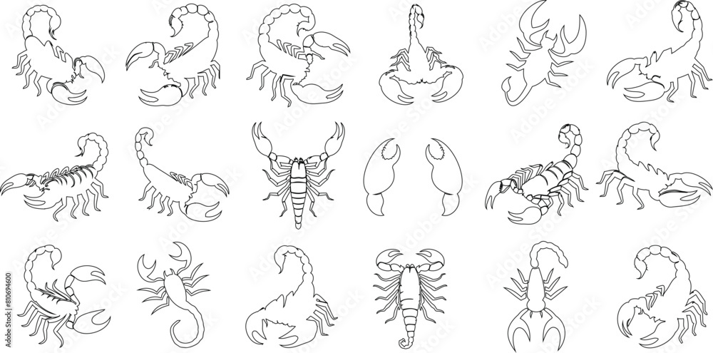 Vetor de Scorpion outline vector illustrations. Detailed Scorpion line art, various arthropods ...