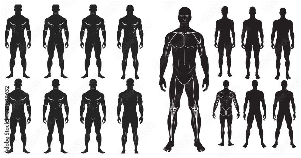 Male human body silhouettes, Human body silhouette, Man front and side ...