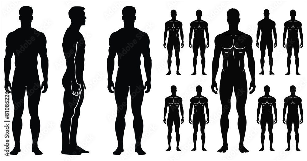 Male human body silhouettes, Human body silhouette, Man front and side ...