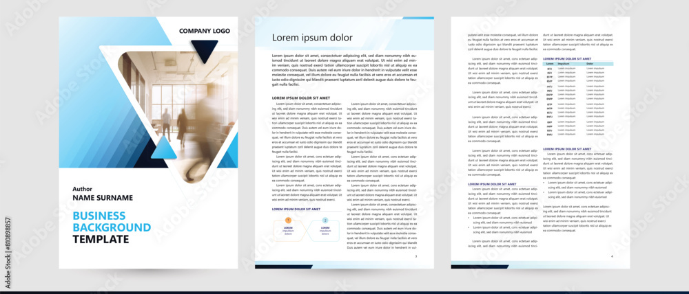 business document template information layout design on page. company ...