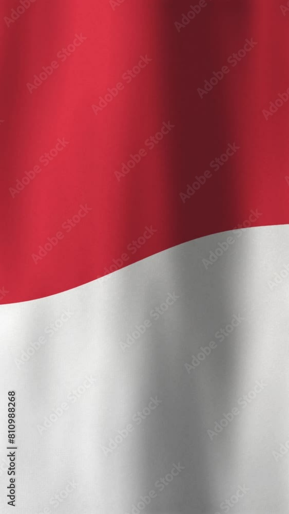 Waving Flag of Indonesia, Vertical Fill Video, HD Animated Background ...