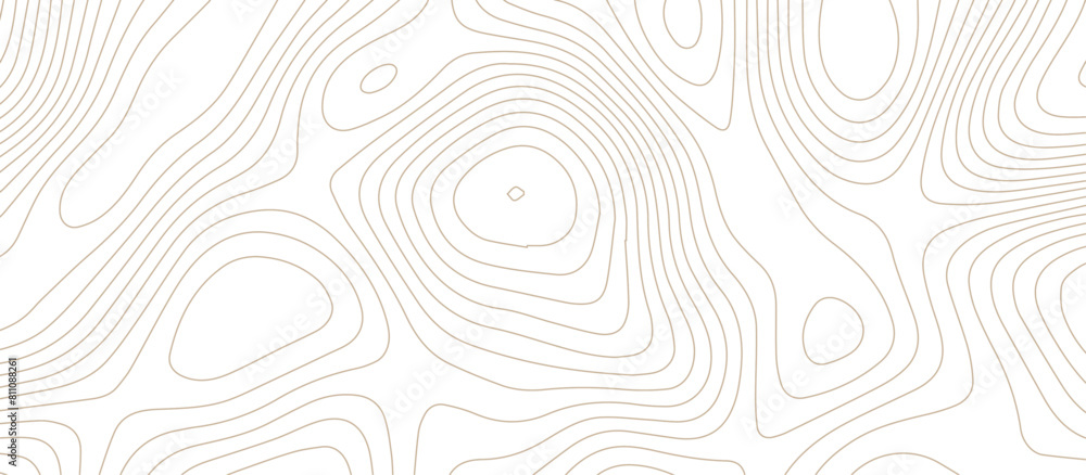Abstract Topographic map background with wave line. Panorama view ...
