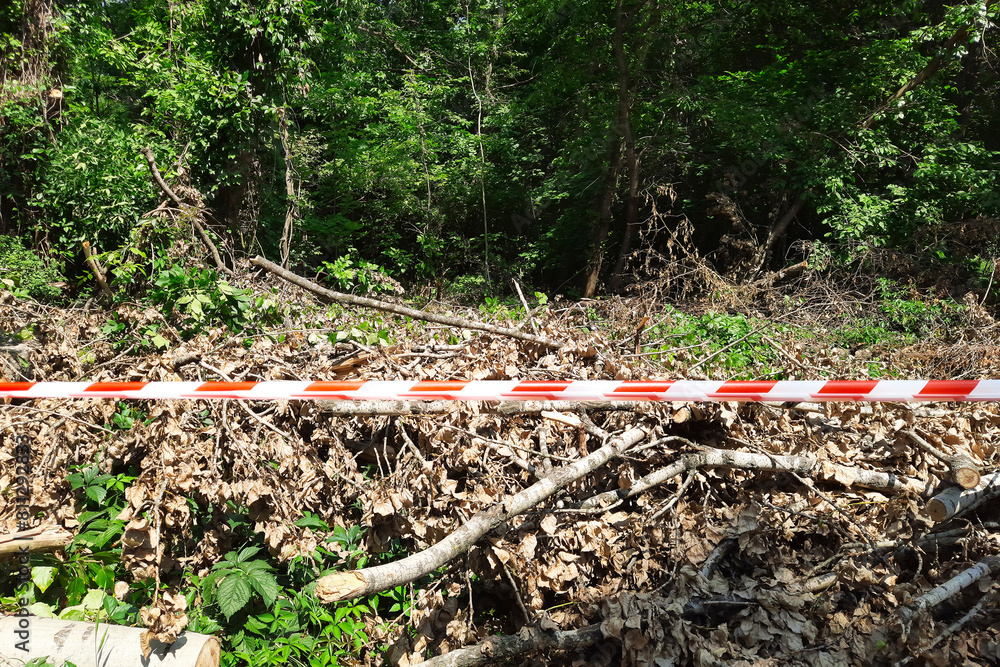 Caution tape against background of trees and dry bushes . White-red ...