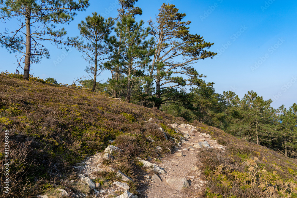 Presqu'île de Crozon : landes bretonnes ondulent sous le regard ...