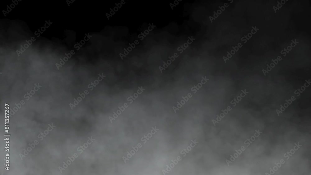 Beautiful movement of smoke isolated on a black background. an be used ...