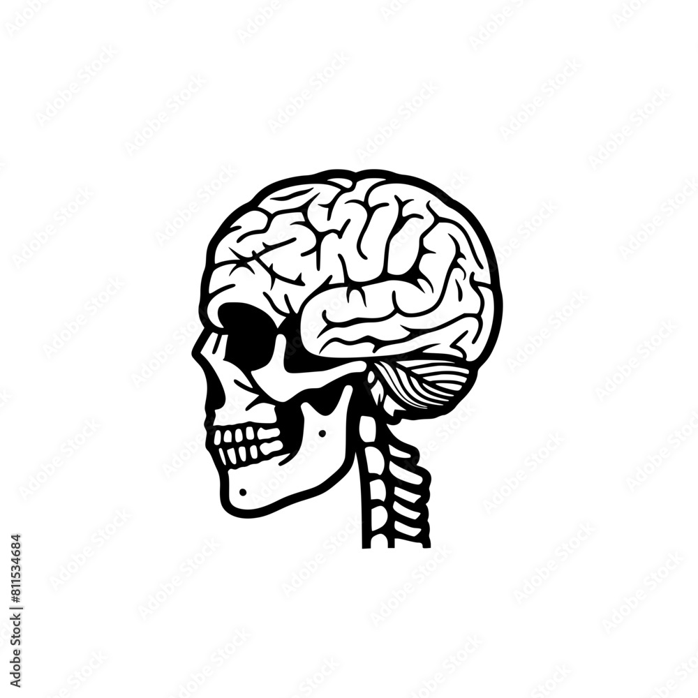 Brain svg, human brain svg, brain png, brain clipart, mental health svg ...