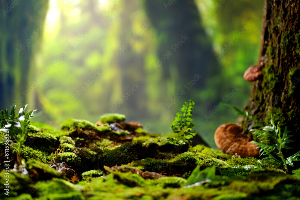 Professional product display backgrounds, Clean product photography ...