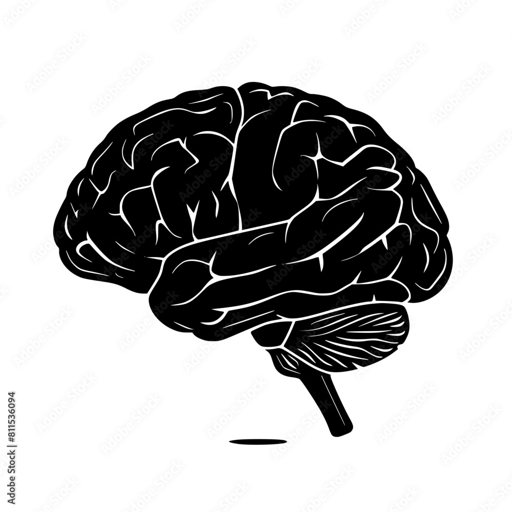 Brain svg, human brain svg, brain png, brain clipart, mental health svg ...