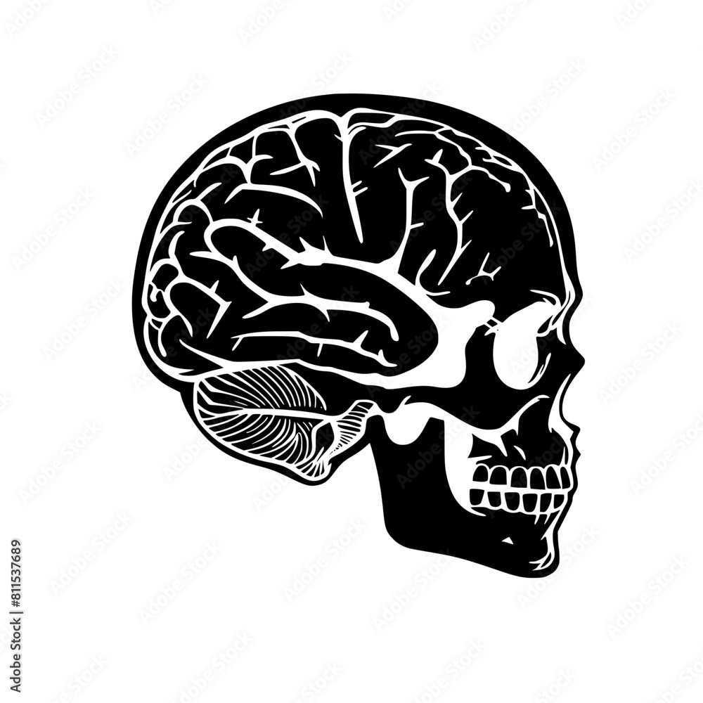 Brain svg, human brain svg, brain png, brain clipart, mental health svg ...