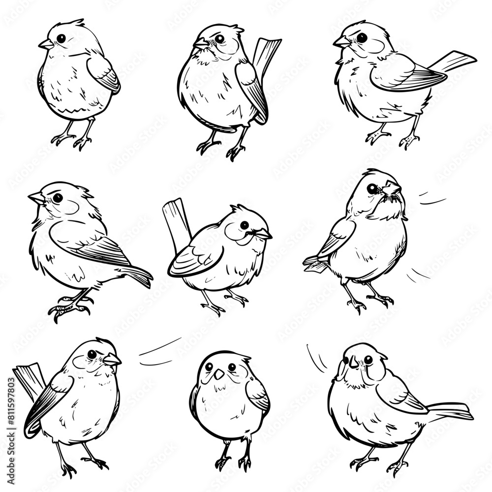 Bird svg, Bird svg bundle, Bird silhouette, Bird cut files, Bird ...