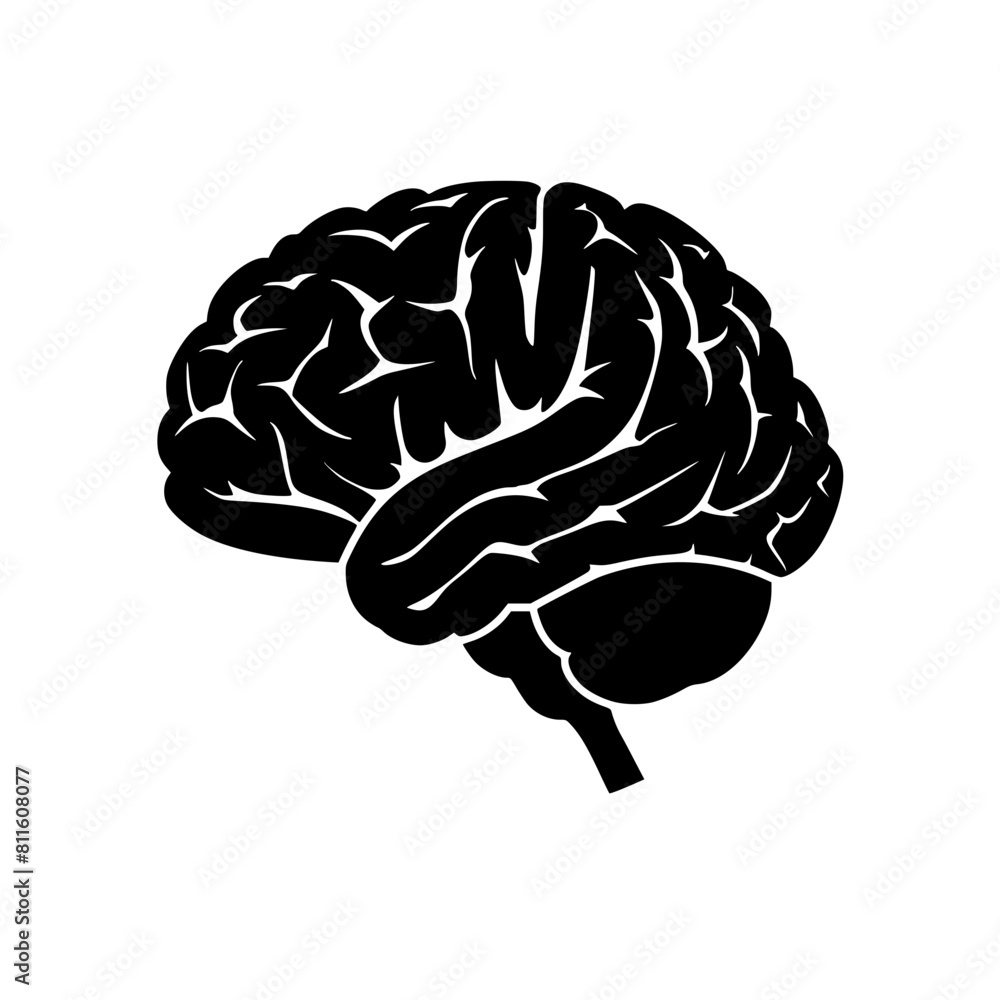 Brain svg, human brain svg, brain png, brain clipart, mental health svg ...