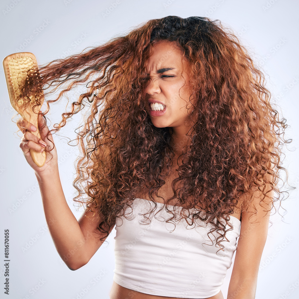 Beauty, brushing hair or curly and angry woman in studio on gray ...
