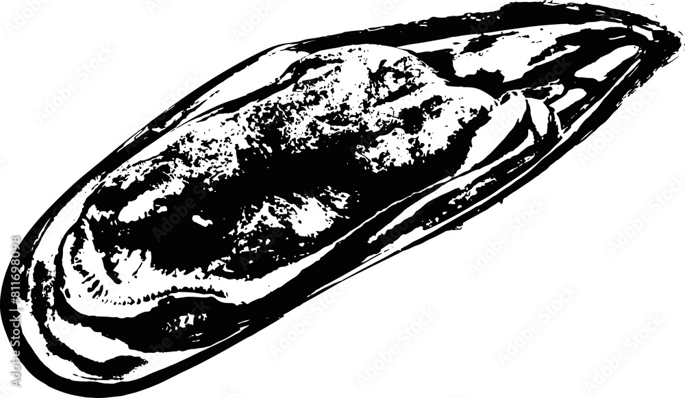 Black and white illustration sketch of a mussel hand drawing vector ...