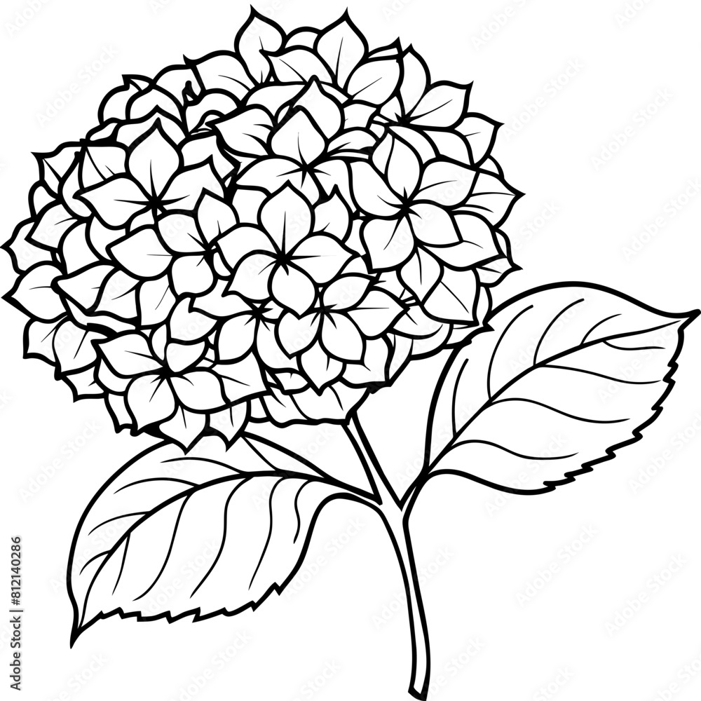 Hydrangea flower outline coloring book page line art drawing vector ...