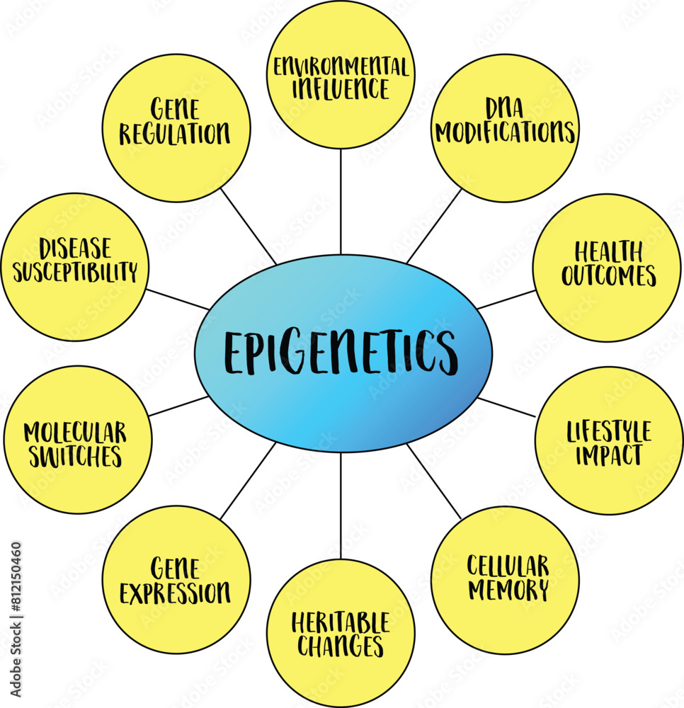 Epigenetics, study of heritable changes in gene expression or cellular ...
