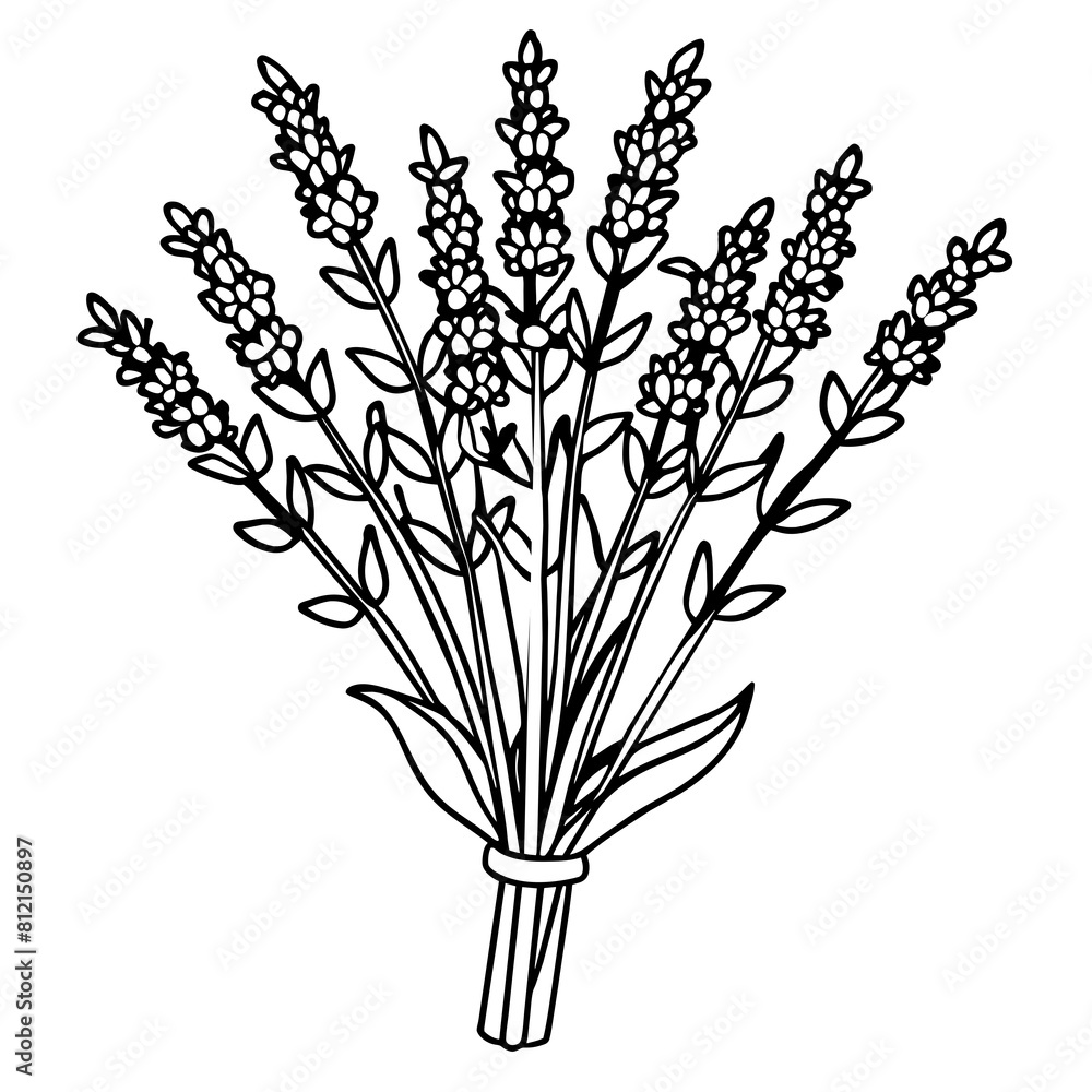 Lavender flower outline coloring book page line art drawing vector ...