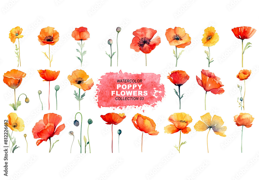Watercolor painted style - poppy flowers clipart isolated on ...