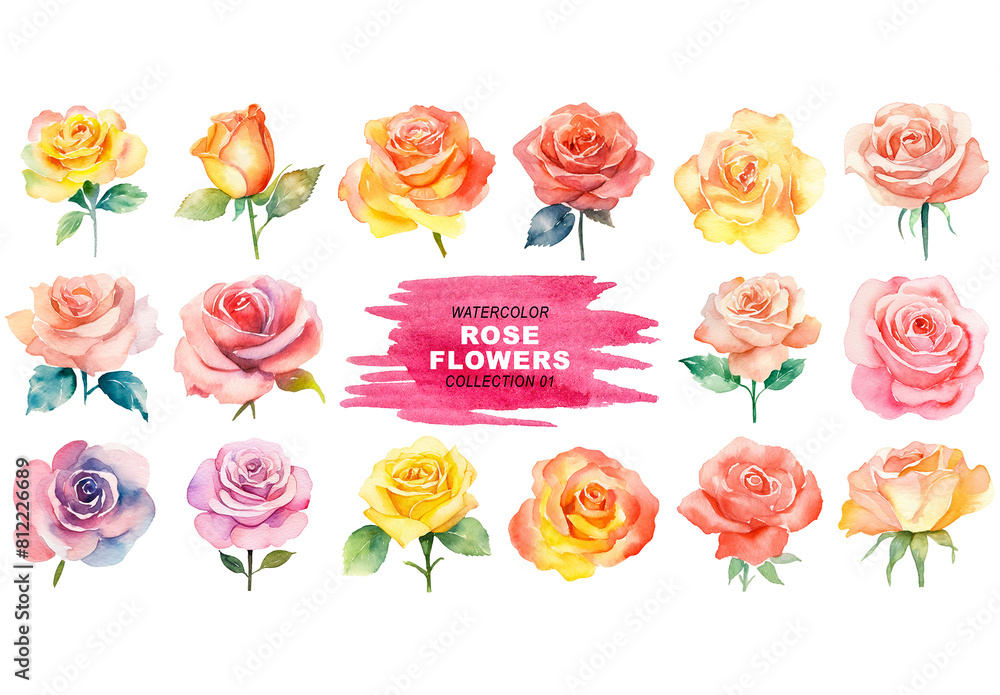 Watercolor painted style - rose flowers clipart isolated on transparent ...
