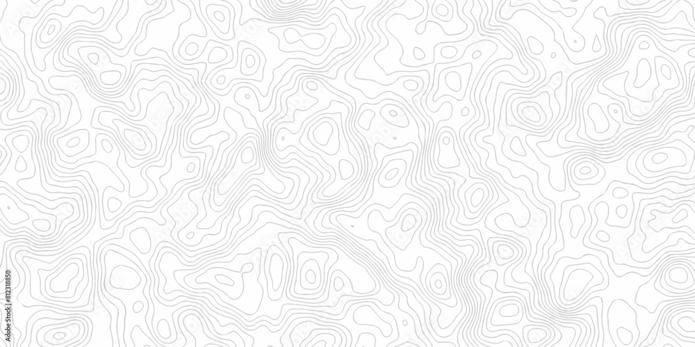 Vector geography landscape Topo contour map on white background ...