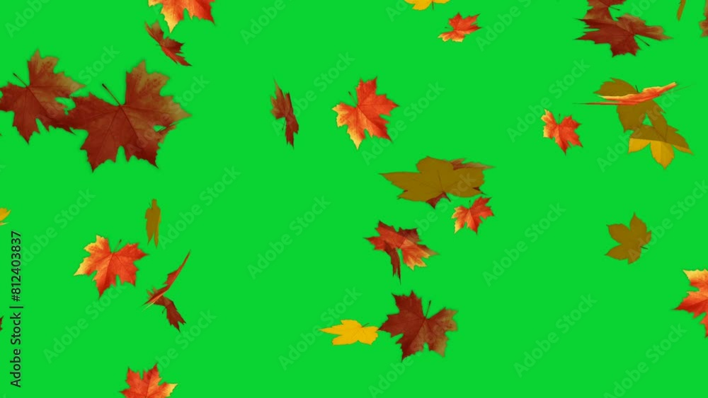 Falling Leaves animated, Element Stock Overlay 4k Animation Stickers ...