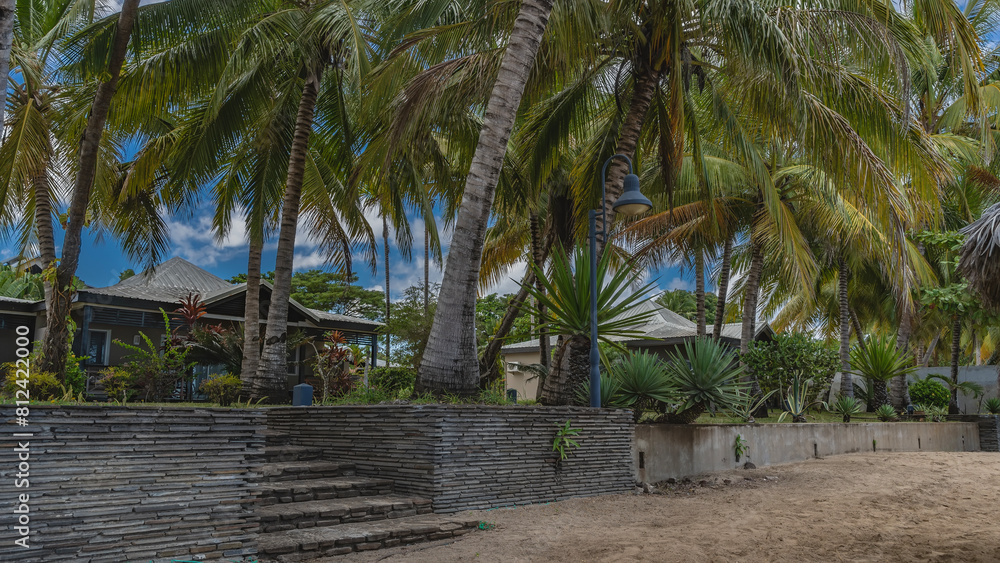 A recreation area along the sandy beach. Lush palm trees, succulents ...