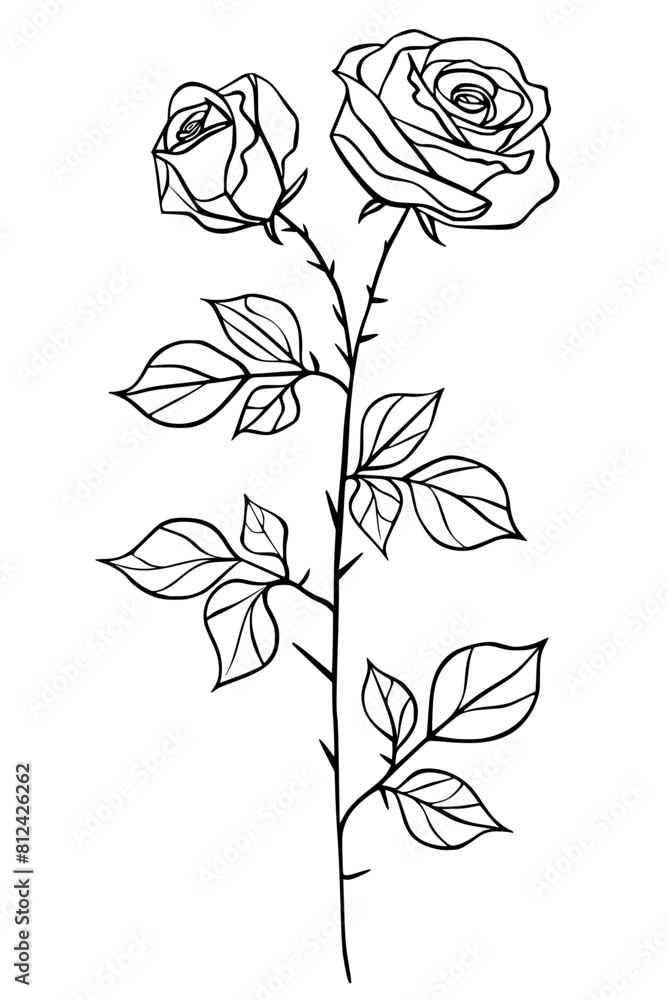 Simple line drawing of 2 roses vector drawing svg for cricut machine ...