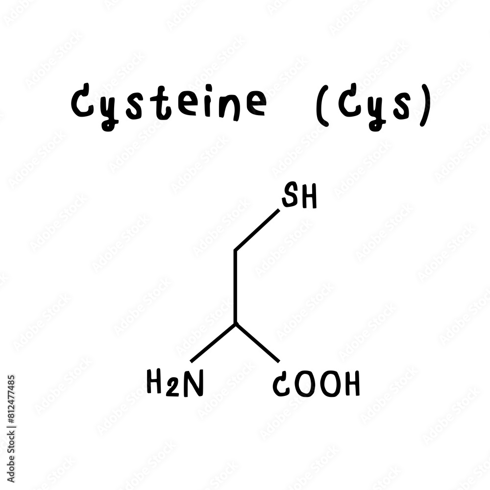 Cysteine chemical structure illustration Stock Illustration | Adobe Stock