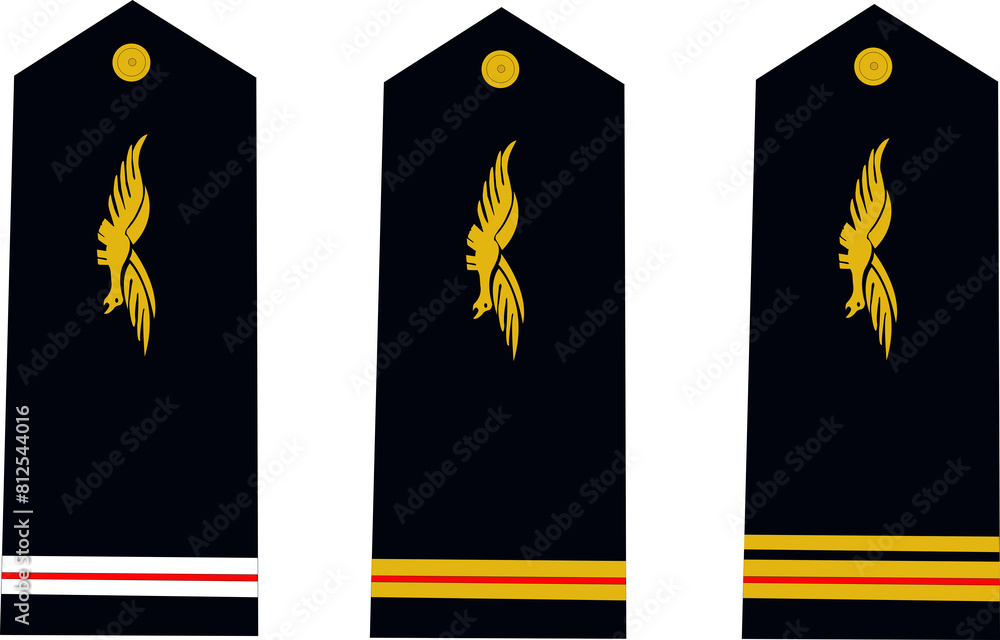 Galon de l'armée de l'air française: Ensemble de galons des sous ...