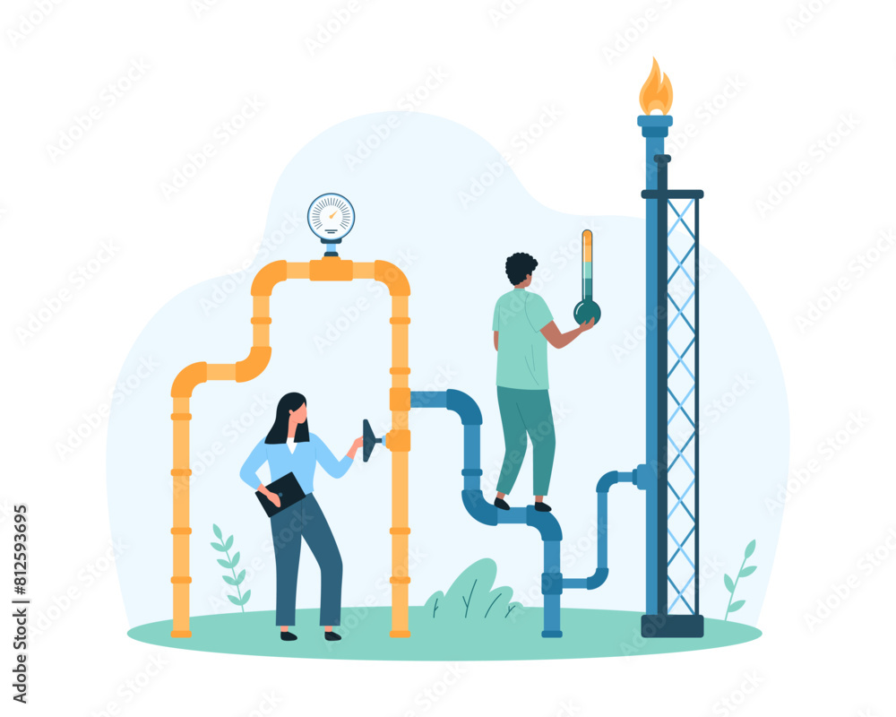 Industrial gas engineering, pipeline system inspection on safety of ...