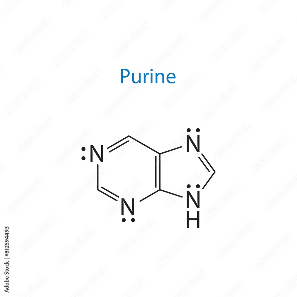 Purine molecule skeletal structure diagram.organic compound molecule ...