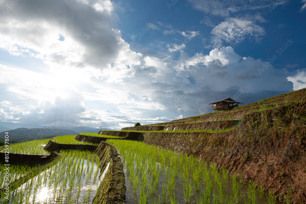 Beautiful scenery of Ban pa pong piang rice terraces. Rice fields on a ...