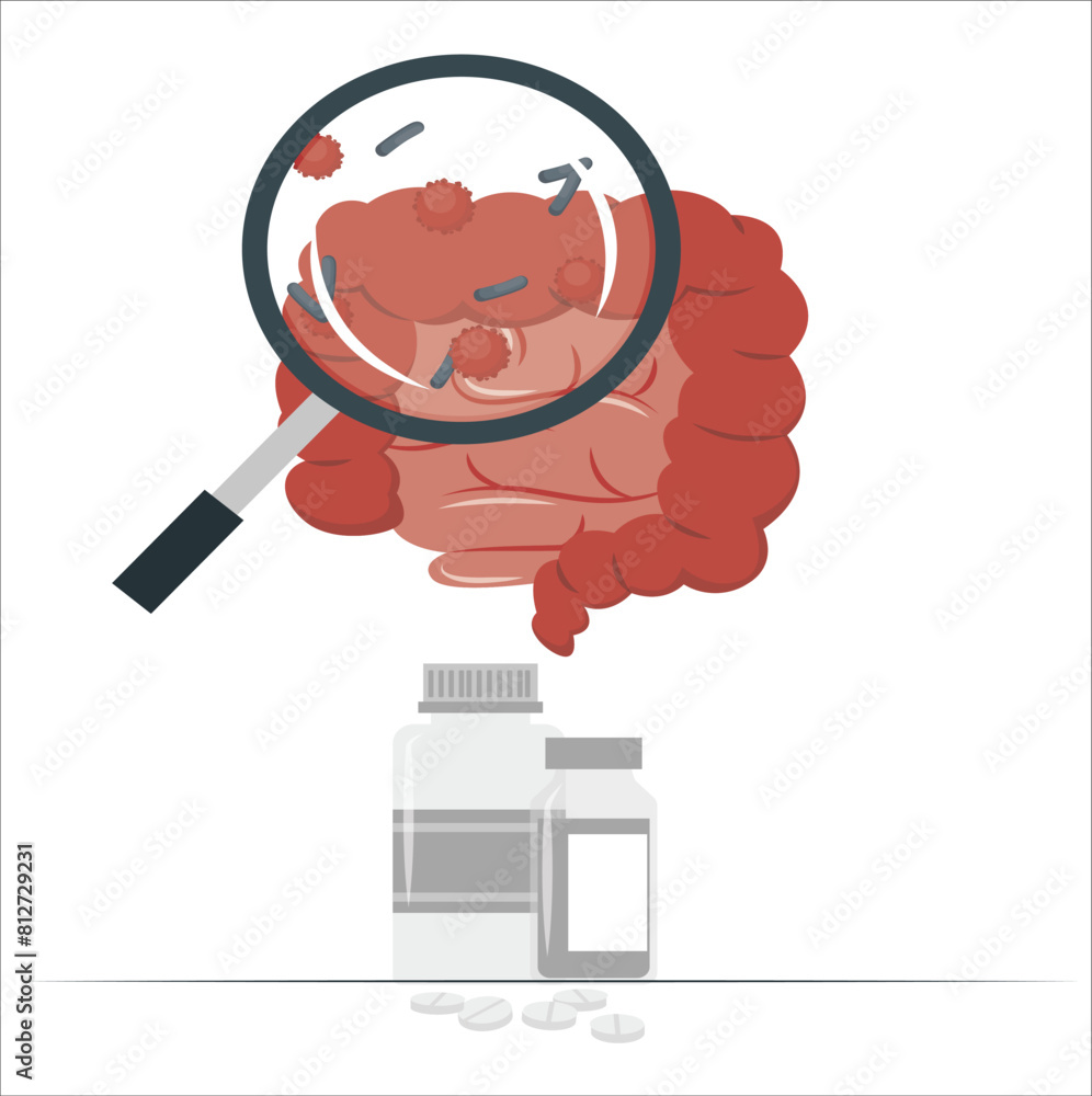 Gut health Vector isolated illustration of human microbiota. Probiotics ...