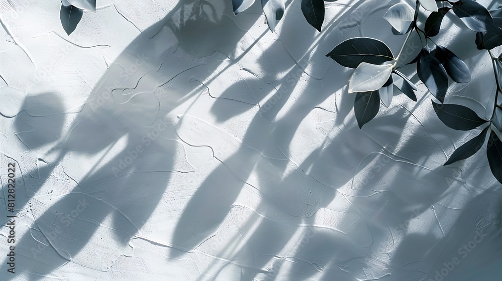 Light and shadow of leaf abstract grey background Natural shadows and ...